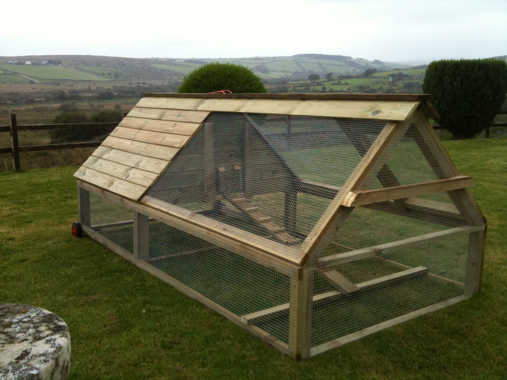 Cornish Poultry Gallery